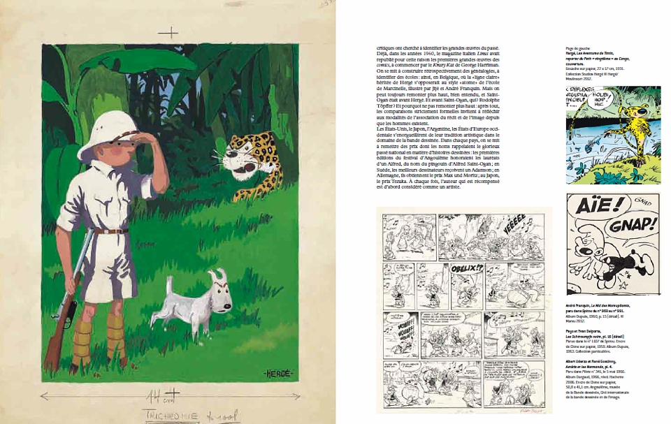 Preview (DOC) L'Art de la bande dessinée Beaux livres